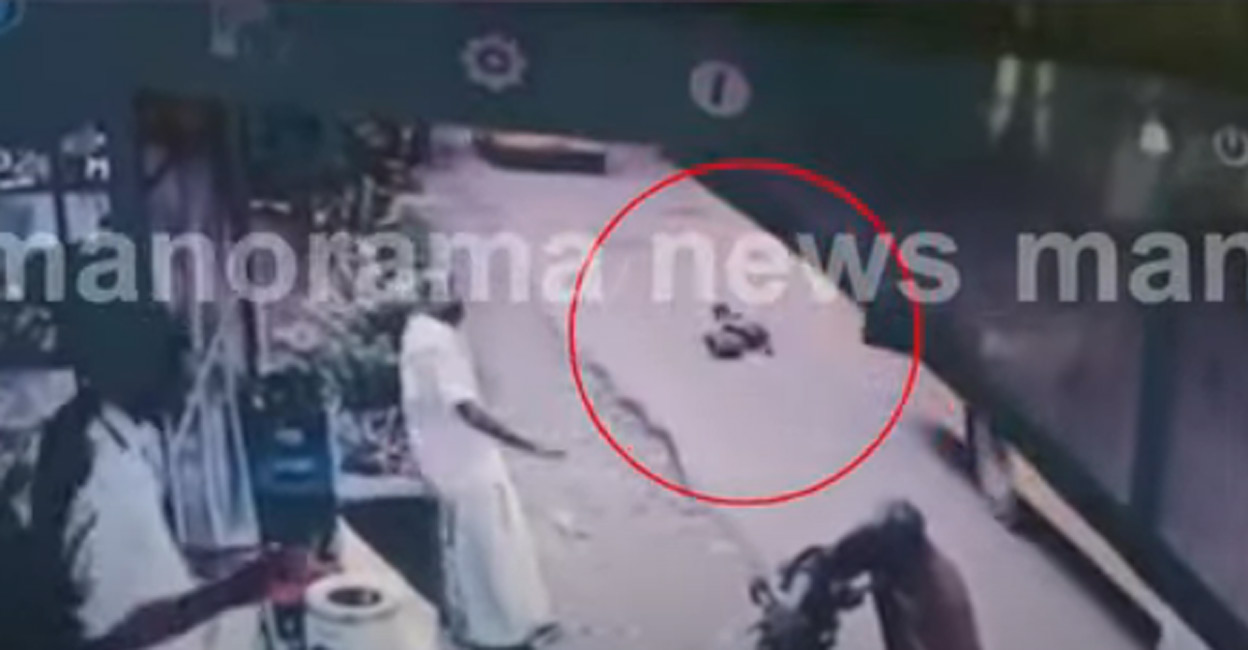 സ്കൂൾ ബസിൽനിന്ന് എൽകെജി വിദ്യാർഥിനി റോഡിലേക്ക് തെറിച്ചുവീണു - student ...