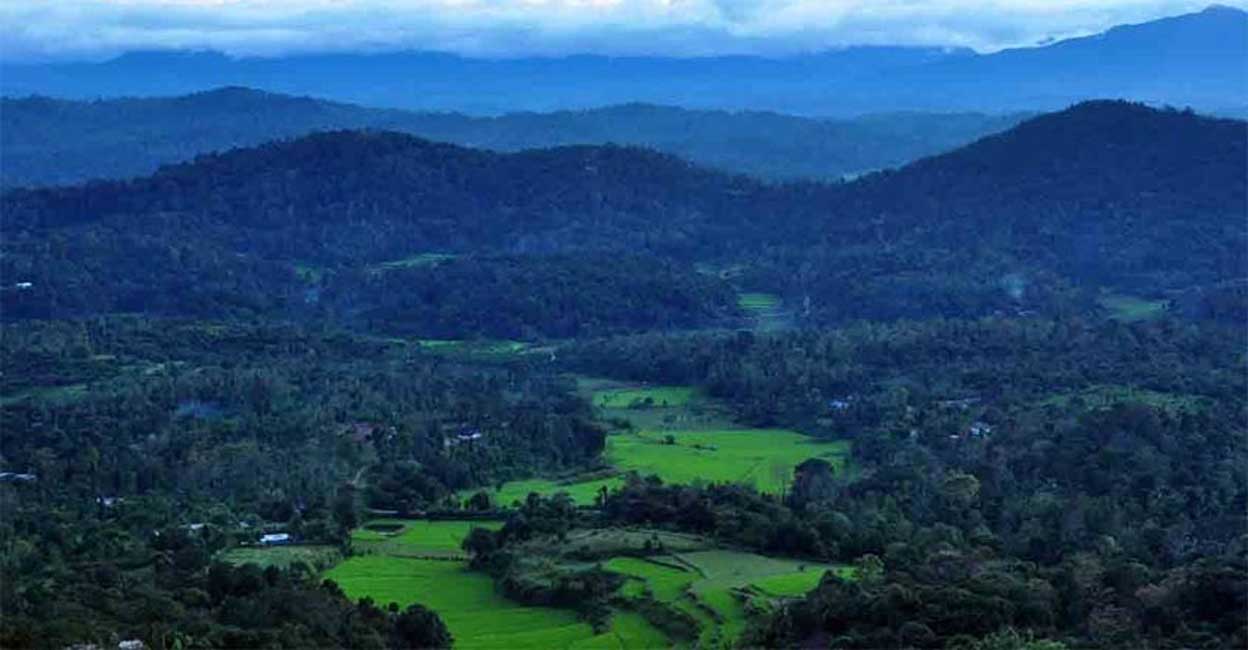 ബഫർസോണിലെ ജനവാസ മേഖല: സ്ഥലപരിശോധന തുടങ്ങിയിട്ടില്ല - Buffer Zone | Manorama news