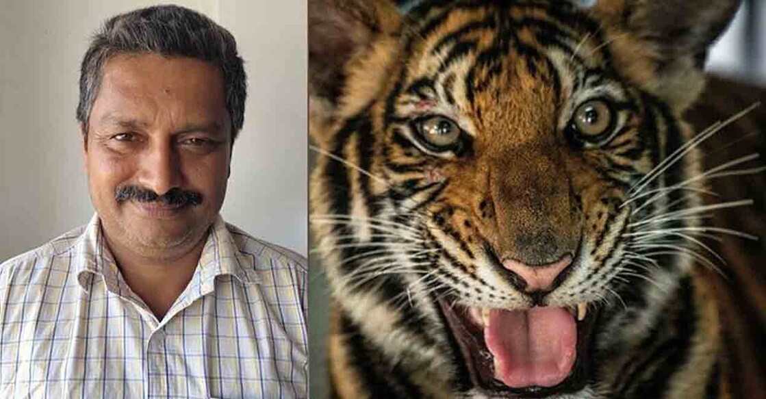 കടുവയുടെ ആക്രമണത്തിൽ മരണം: ചികിത്സ ലഭ്യമാക്കിയെന്ന വാദത്തിനെതിരെ ...