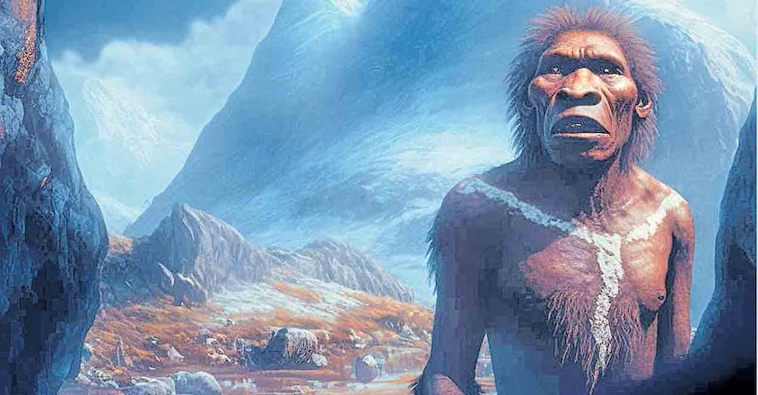 നർമദാ മാൻ: ഇന്ത്യയുടെ ഫോസിൽ തലപ്പൊക്കം - Narmada man fossil skull ...