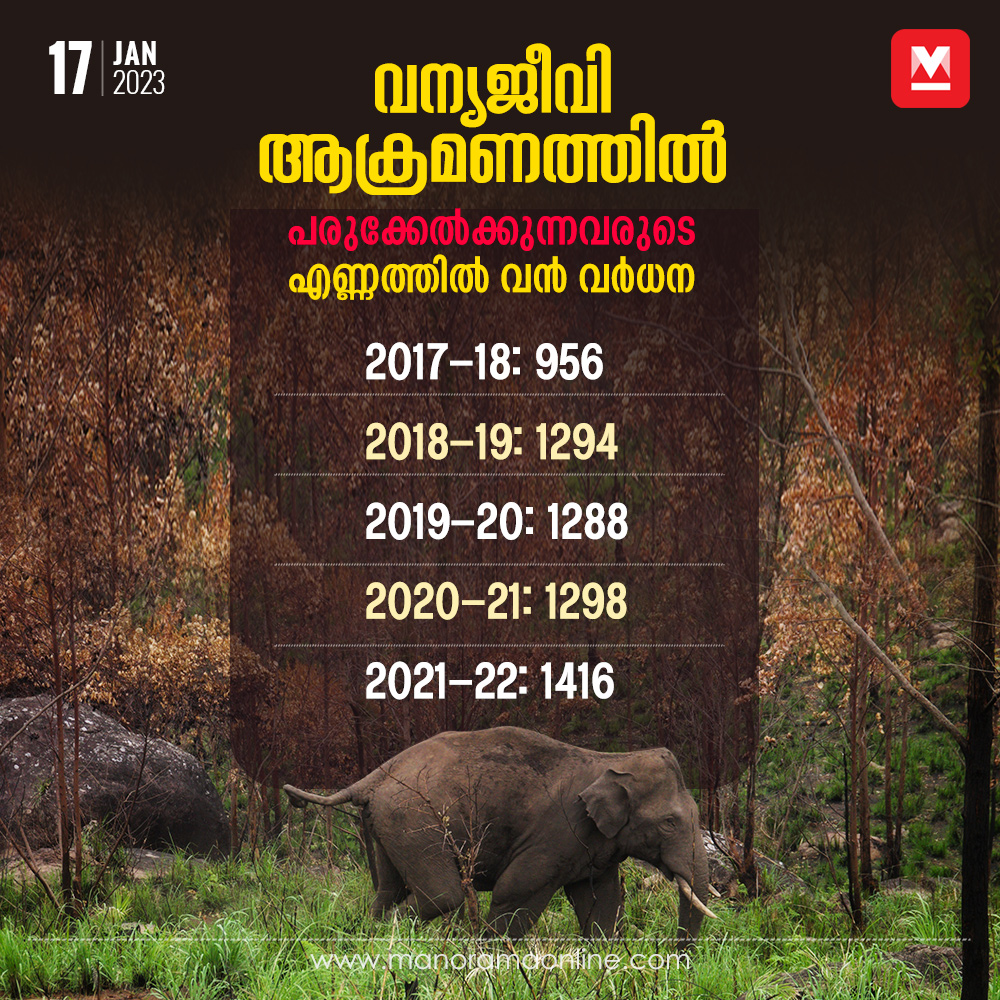വന്യജീവി ആക്രമണത്തിൽ പരുക്കേൽക്കുന്ന ആളുകളുടെ എണ്ണത്തിൽ വൻ വർധന: കണക്ക് ...
