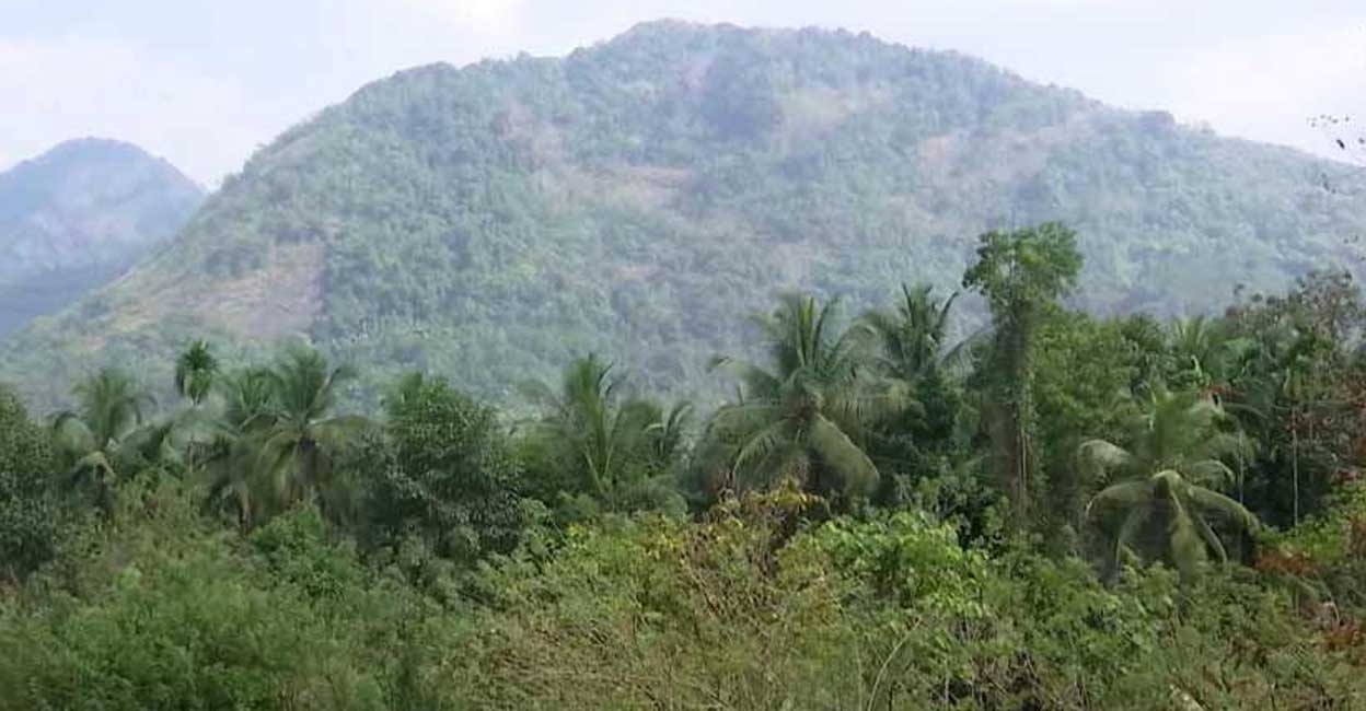 ബഫര്‍സോണ്‍: സമയപരിധി ശനിയാഴ്ച തീരും; ഇതുവരെ 54,607 പരാതികൾ, പരിഹരിച്ചത് 17,054- Buffer zone ...