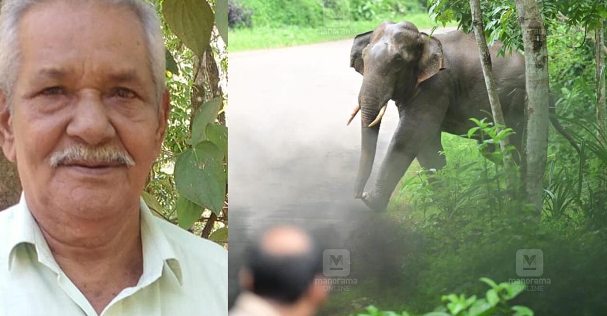 ളളിക്കലിൽ ആന ഓടിയ വഴിയിൽ മൃതദേഹം– Wild Elephant | Dead Body | malayalam ...