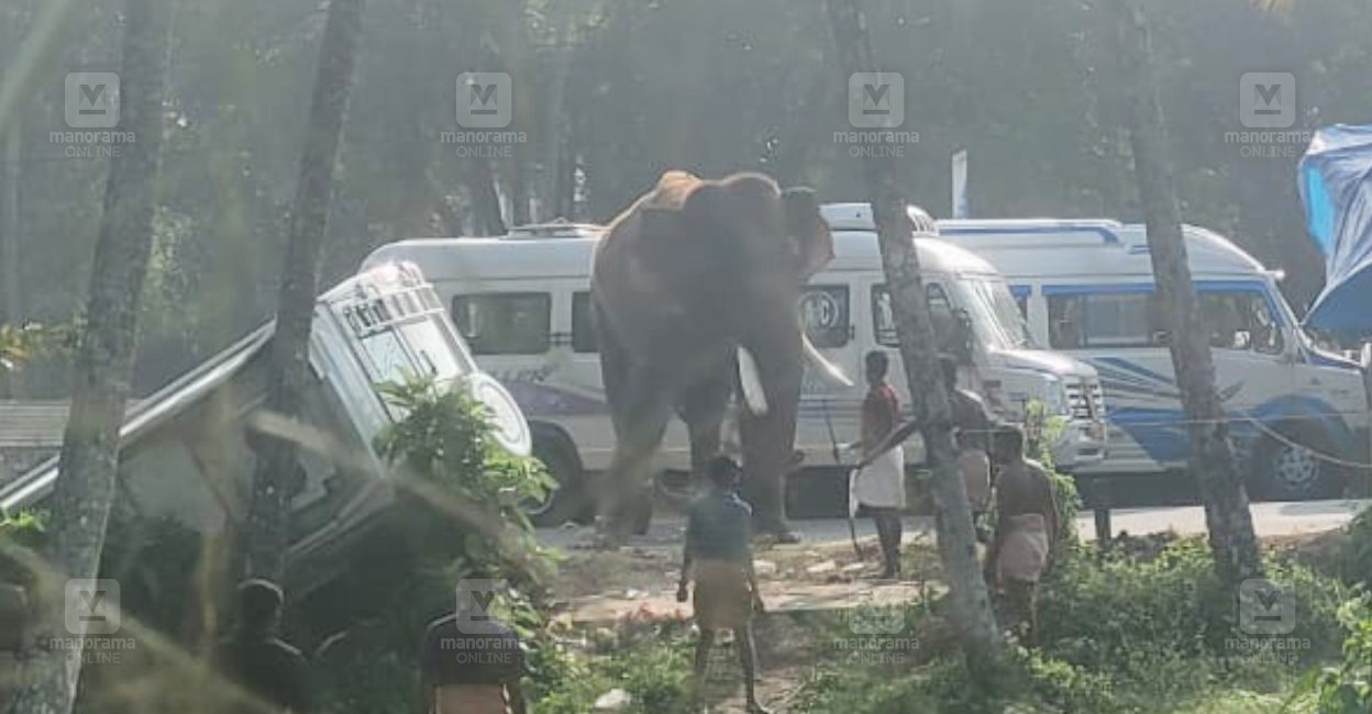 തൃപ്രയാറിൽ ആനയിടഞ്ഞു; വാഹനങ്ങൾ മറിച്ചിട്ടു - Elephant Attack at ...