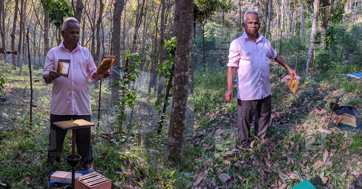 തേൻപെട്ടി തകർത്ത് തേൻ കുടിച്ച് കരടി; ആര്യങ്കാവിൽ കർഷകന് വൻ നഷ്ടം- Honey ...