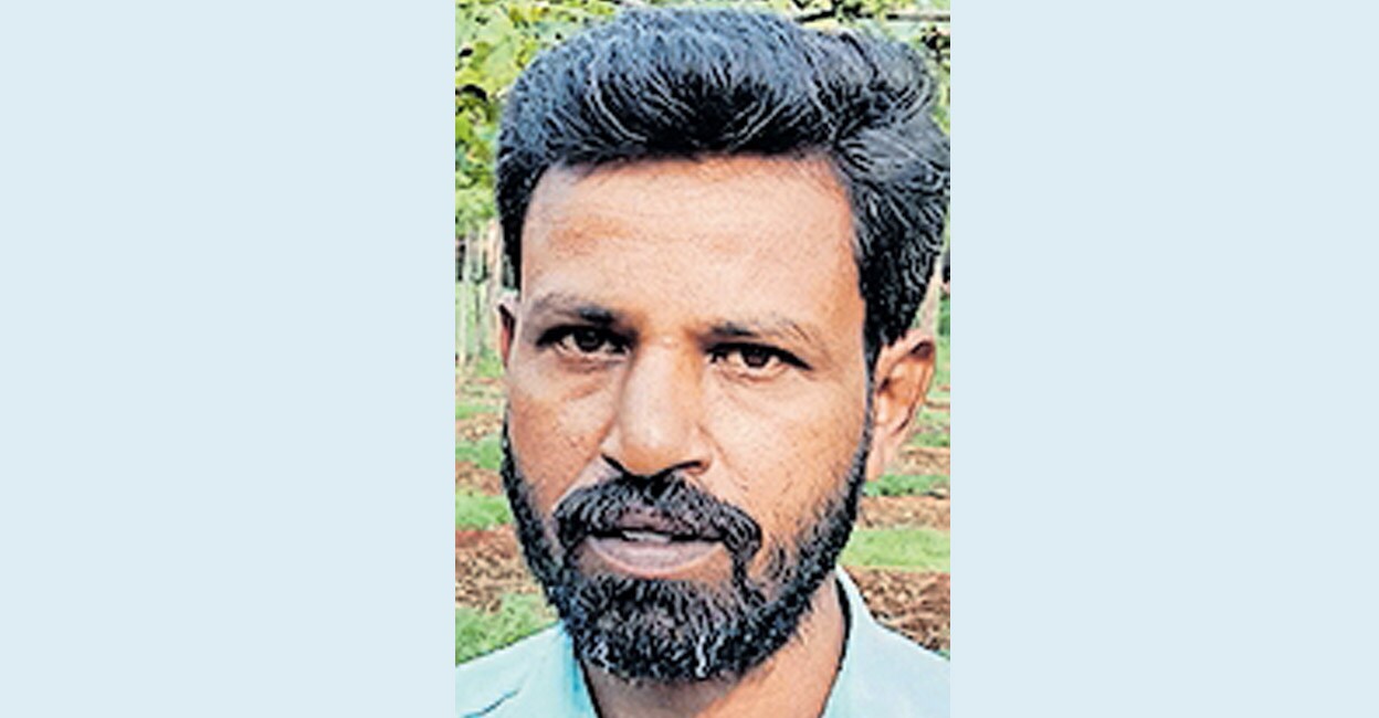 ചക്ക പറിച്ച് അരിക്കൊമ്പൻ; ഭയന്നുവിറച്ച് സുബ്രമണി - Subramani scared ...