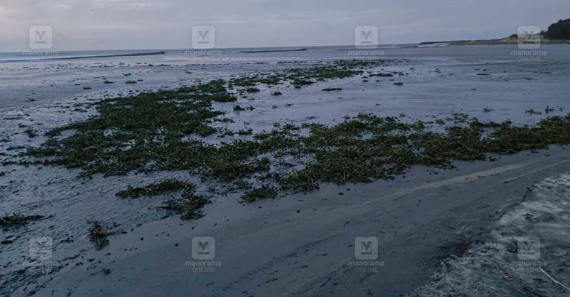 തോട്ടപ്പള്ളിയിൽ കടൽ ഉൾവലിഞ്ഞ് ചെളിയായി, പല്ലനയിൽ കടൽക്ഷോഭം; തീരങ്ങളി ...