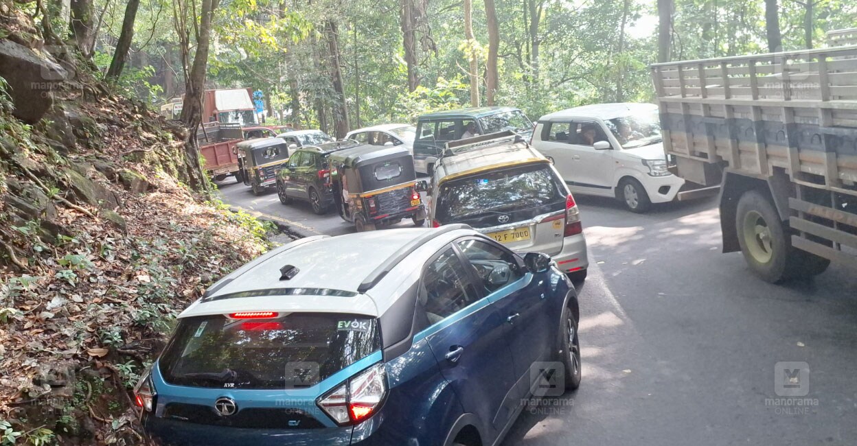 ‘പെരുവഴി’യിലാക്കി കുഴി നികത്തൽ; നിയന്ത്രണങ്ങൾ പാളിയതോടെ വയനാട് ചുരത്തി ...