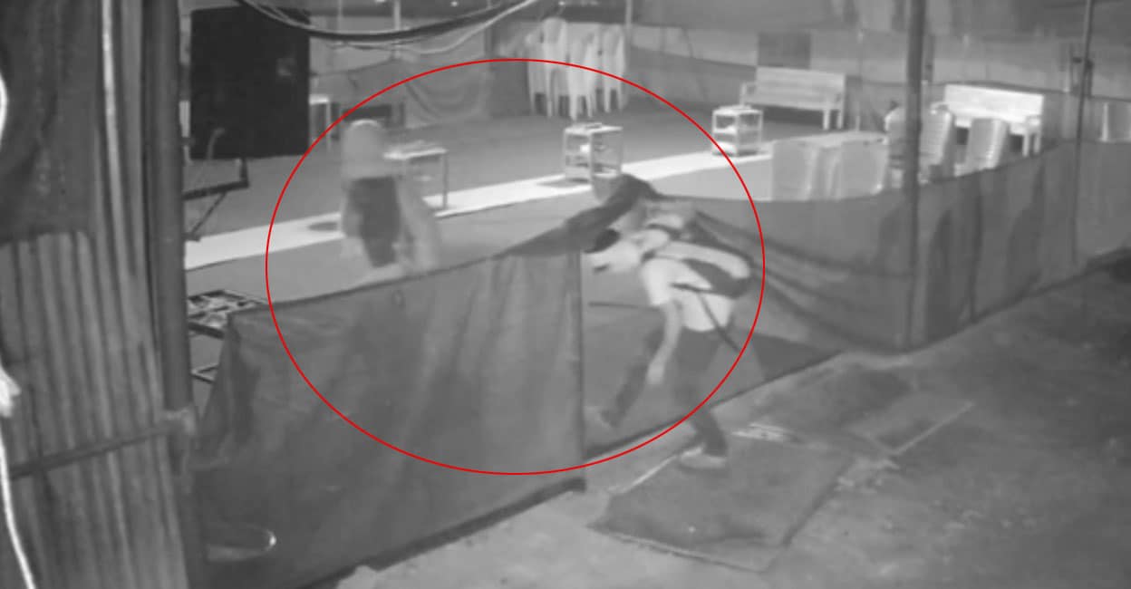 പള്ളിയിൽ ഉൾപ്പെടെ 50ലേറെ കവർച്ചാശ്രമം; പെരുമ്പാവൂരിൽ കറങ്ങുന്നതും കുറുവ ...