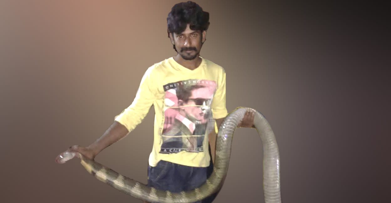 കൊല്ലത്ത് പാമ്പുകടിയേറ്റ് വയോധികൻ മരിച്ചു; പാമ്പുപിടിത്തക്കാരന്റെയും ...