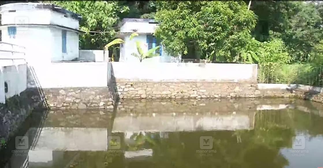 കേരളത്തിൽ 4000ത്തോളം കേസുകൾ, 10 മരണം: എന്താണ് ഹെപ്പറ്റൈറ്റിസ് എ? എങ്ങനെ പടരുന്നു? | Hepatitis B ...