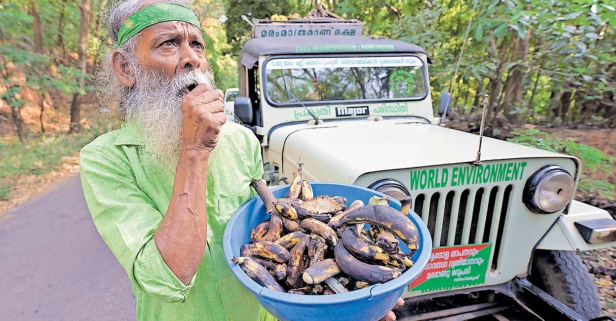 കല്ലൂർ ബാലൻ എന്ന പച്ചമനുഷ്യൻ - Sunday Special about Kalloor Balan ...