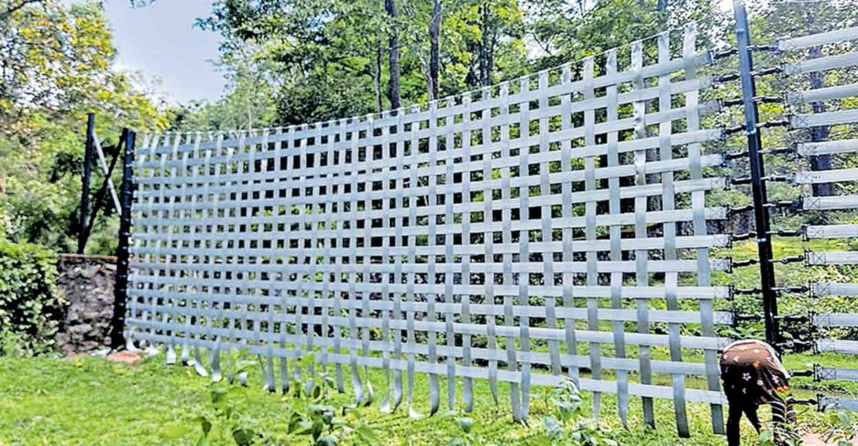 കാട്ടാനയെ തടയാൻ ഇനി എഐ വേലി; പരീക്ഷണത്തിനു വയനാട്ടിൽ തുടക്കം ...