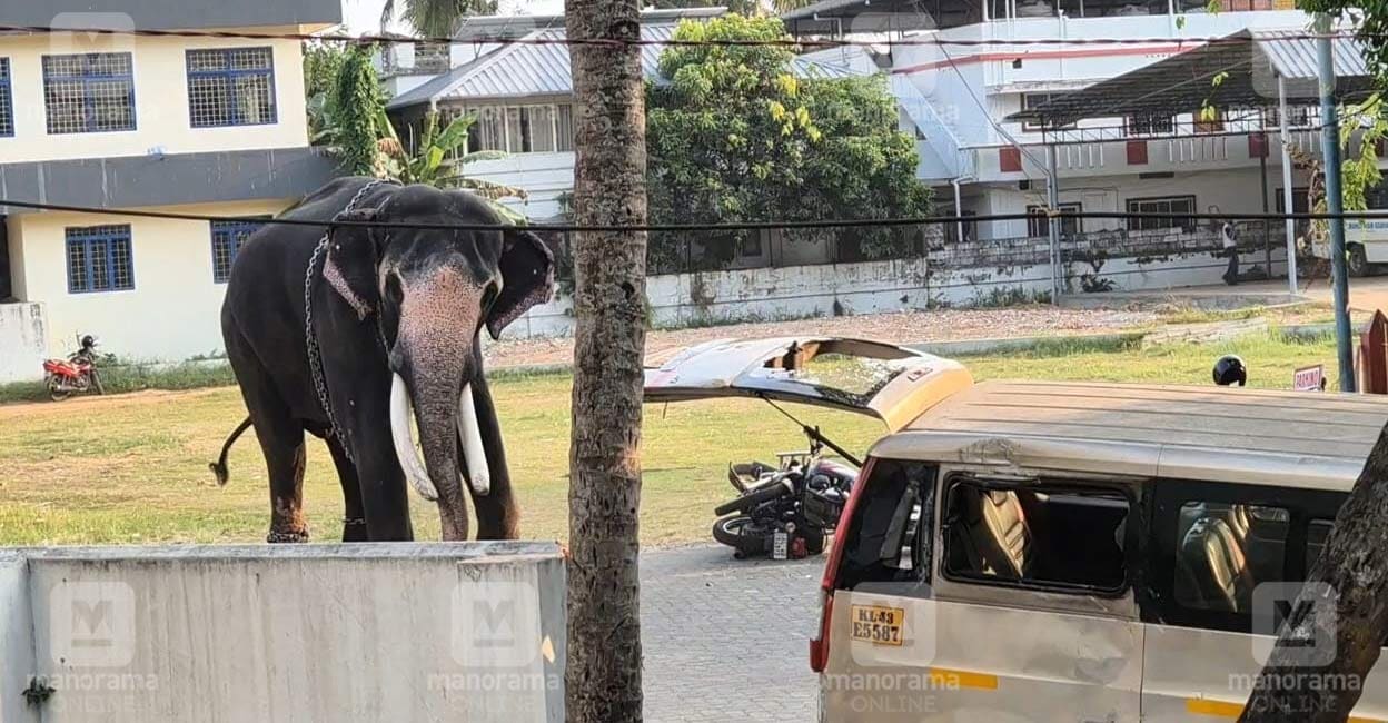 ലോറിയും കാറുകളും പത്തോളം ബൈക്കുകളും തകർത്തു; ഇടക്കൊച്ചിയെ വിറപ്പിച്ച ...
