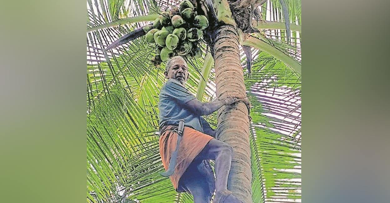 യാത്രയ്ക്കു വേണ്ടി ചിട്ടി ചേരും, തൊഴിലില്ലാത്ത ദിവസങ്ങളിൽ ട്രിപ്പ് ...