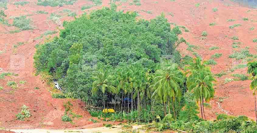 കവളപ്പാറ: സഹായധനം തിങ്കളാഴ്ച അക്കൗണ്ടിൽ എത്തുമെന്നു കലക്ട ...