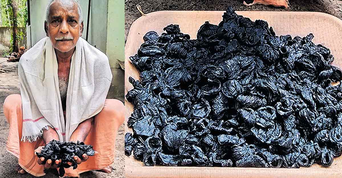 ബോട്ട് ജെട്ടിയിൽ ഉറങ്ങിയ കൊതുക് രാത്രികളേ, വിട; പെരുമ്പളം കര തൊടും ...