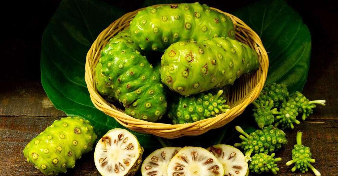 വേവിച്ചാൽ രുചിയുള്ള പഴം; നോനി അഥവാ ഛര്‍ദ്ദില്‍ പഴത്തെക്കുറിച്ച് ...