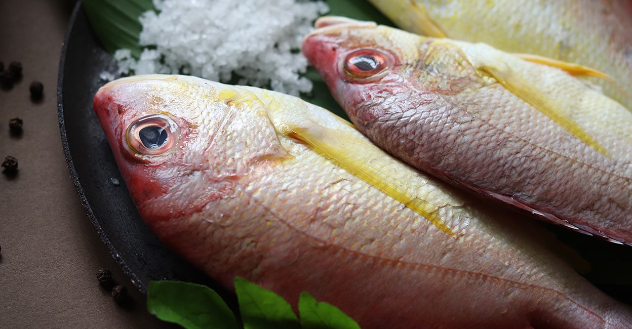 പച്ചമീൻ അതേപോലെ ഫ്രിജില്‍ വയ്ക്കരുത്; ഇവ ശ്രദ്ധിക്കൂ | Easy Fish ...