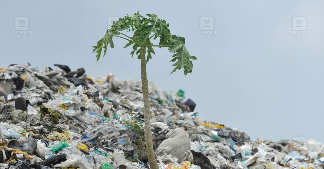 മാലിന്യമുക്ത നവകേരളം; ജനകീയ പ്രചാരണം 2 മുതൽ - Garbage-Free New Kerala ...