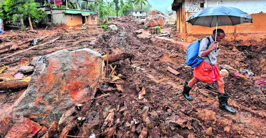 അനശ്വര രാജൻ മുതൽ കരിക്ക് കട നടത്തുന്ന പത്മകുമാരി വരെ: വയനാടിന് ...