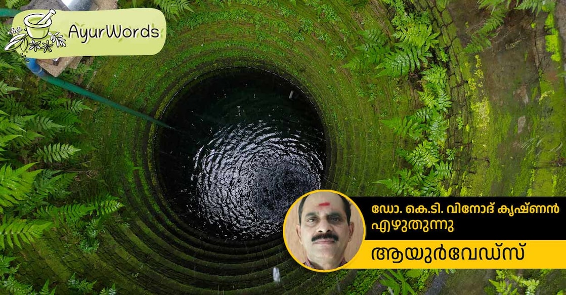 കിണറിനുള്ളിലെ വൈവിധ്യവും വെള്ളം കൊരുന്നതുകൊണ്ടുള്ള ആരോഗ്യവും - Water ...