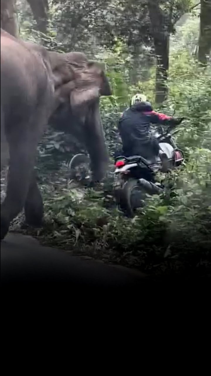 യുവാക്കൾ രക്ഷപ്പെട്ടത് തലനാരിഴയ്ക്ക്
