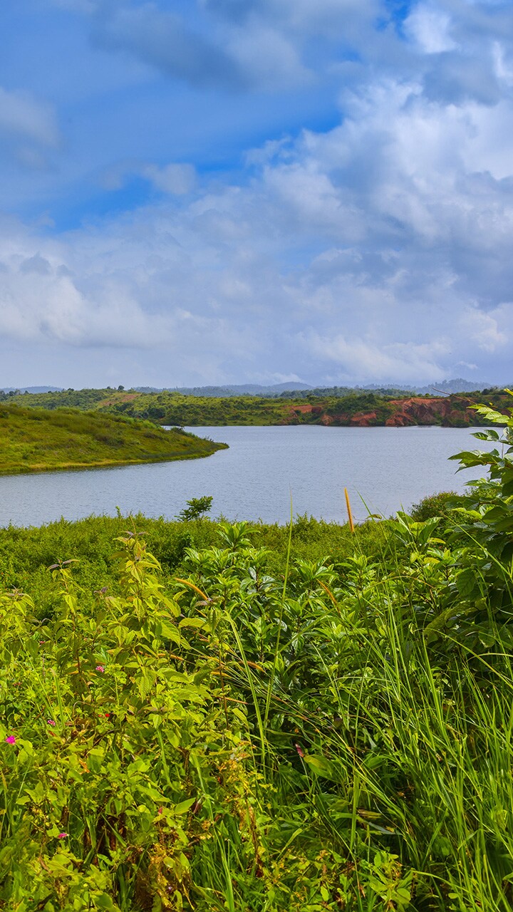 പെട്ടെന്നൊന്നും ആരുടേയും കണ്ണില്‍പ്പെടാതെ വയനാടന്‍ സൗന്ദര്യം മുഴുവന് ...