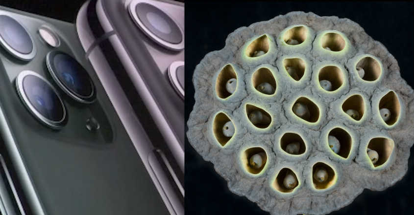 ഐഫോണ്‍ പ്രോയ്ക്ക് ട്രൈപോഫോബിയ രോഗമാണോ? | iPhone 11 | Trypophobia iPhone ...