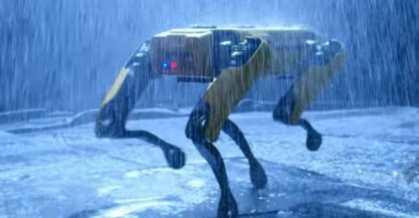 ഇനി തെരുവിലേക്ക്, വേണമെങ്കിൽ ഗ്യാസ് സിലിണ്ടർ വരെ ചുമക്കും