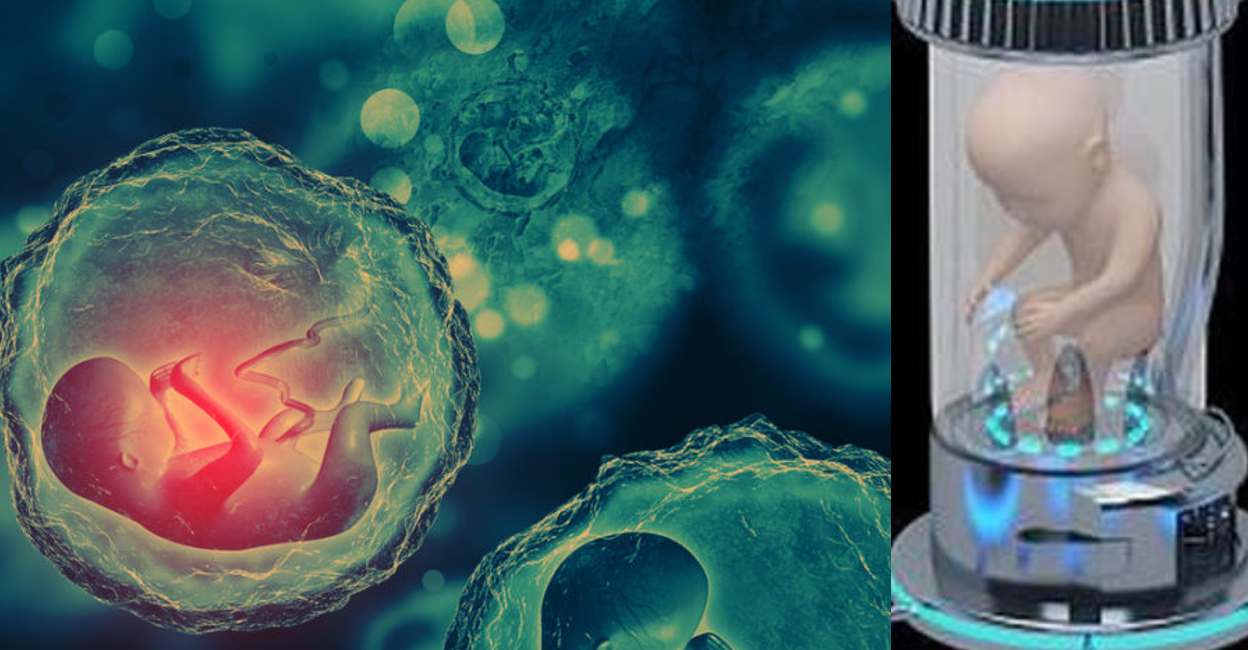 കൃത്രിമ ഗര്‍ഭപാത്രത്തിനുള്ളിൽ ഭ്രൂണം, ചൈനയുടേത് ലോകത്തെ മാറ്റിമറിക്കും ...