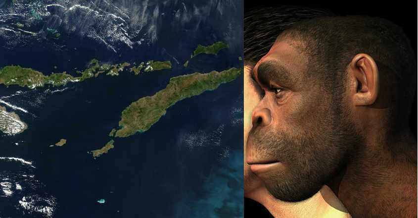 3 ലക്ഷം വർഷം ജാവ ദ്വീപുകളില്‍ ജീവിച്ചു, കണ്ടെത്തിയത് മനുഷ്യന്റെ പൂ ...