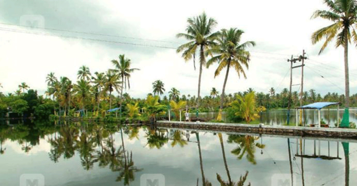 കാഴ്ചകളും കാണാം, വയറും നിറയ്ക്കാം... ഈ ടൂറിസം പാക്കേജ് 250 രൂപയ്ക്ക് ...