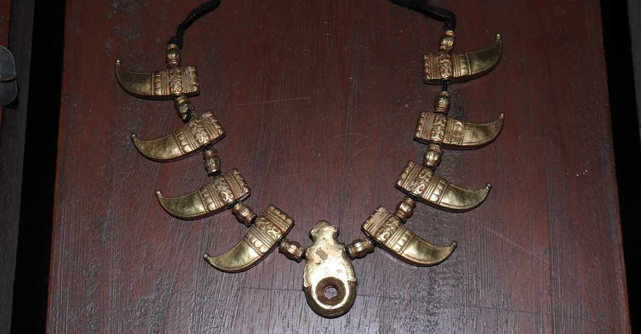 കരിമ്പനയും മാടമ്പിവിളക്കും പാമ്പിൻകാവും; ഇത് വെള്ളാംഗമഠം തറവാട് ...