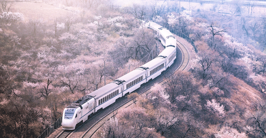 കുതിച്ചു പായും ചൈന | China Travel