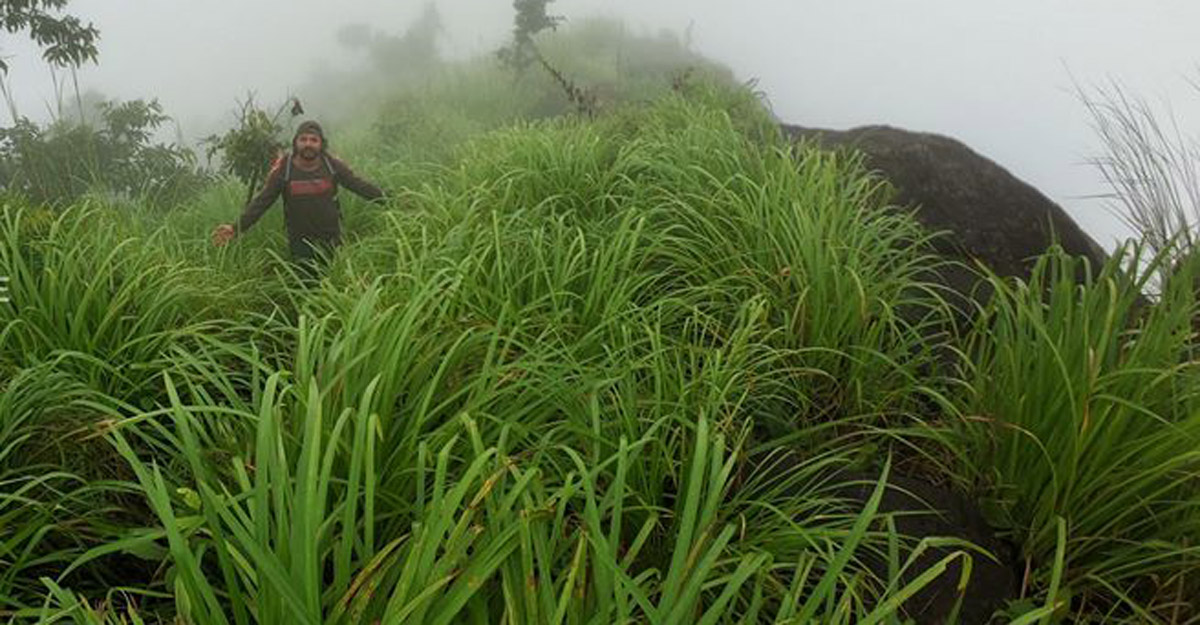 കോട്ടയം ജില്ലയിൽ ഇങ്ങനെ ഒരു സ്ഥലമോ? ഇത് ഇവിടുത്തെ മീശപ്പുലിമല ...