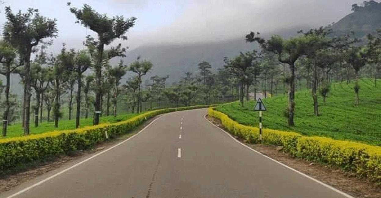 അതിസുന്ദരം ഇൗ കാനനപാത; കൊടുംവളവുകൾ താണ്ടിയുള്ള യാത്ര | Road Trip to valpara
