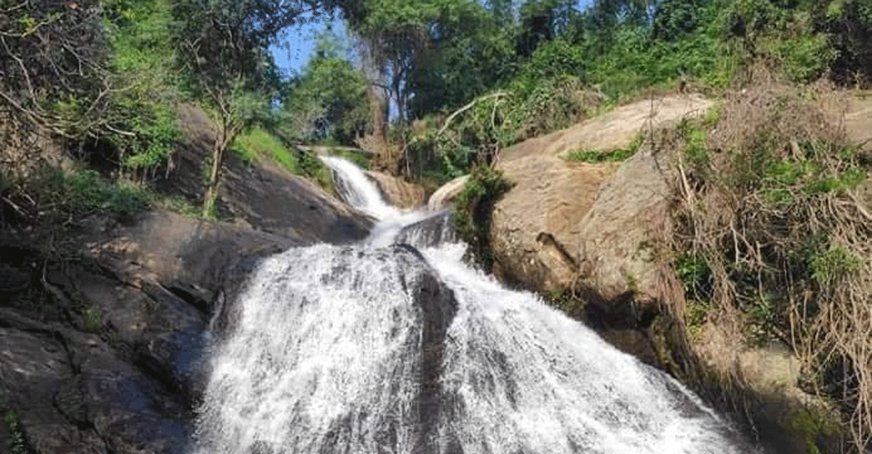 അതിസുന്ദരം ഇൗ കാനനപാത; കൊടുംവളവുകൾ താണ്ടിയുള്ള യാത്ര | Road Trip to valpara