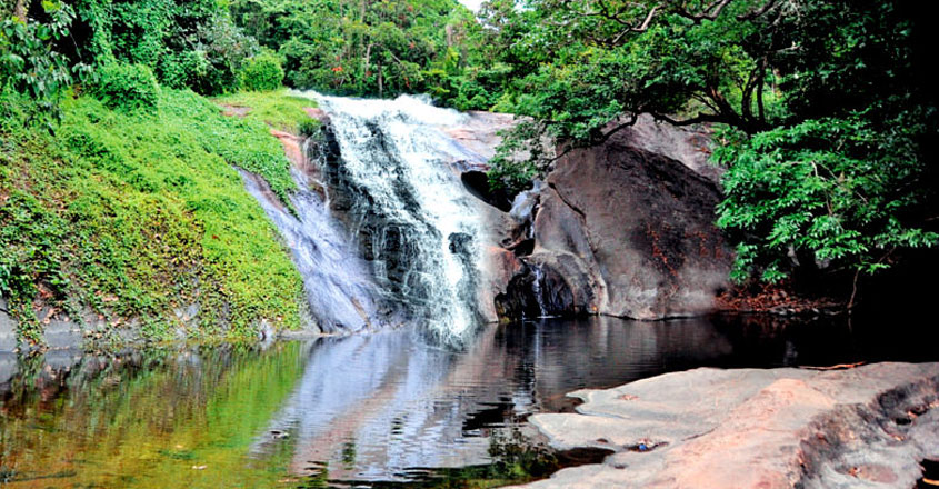 ചീവീടുകൾ കരയാത്ത കാട് | Best Places to visit in Palakkad