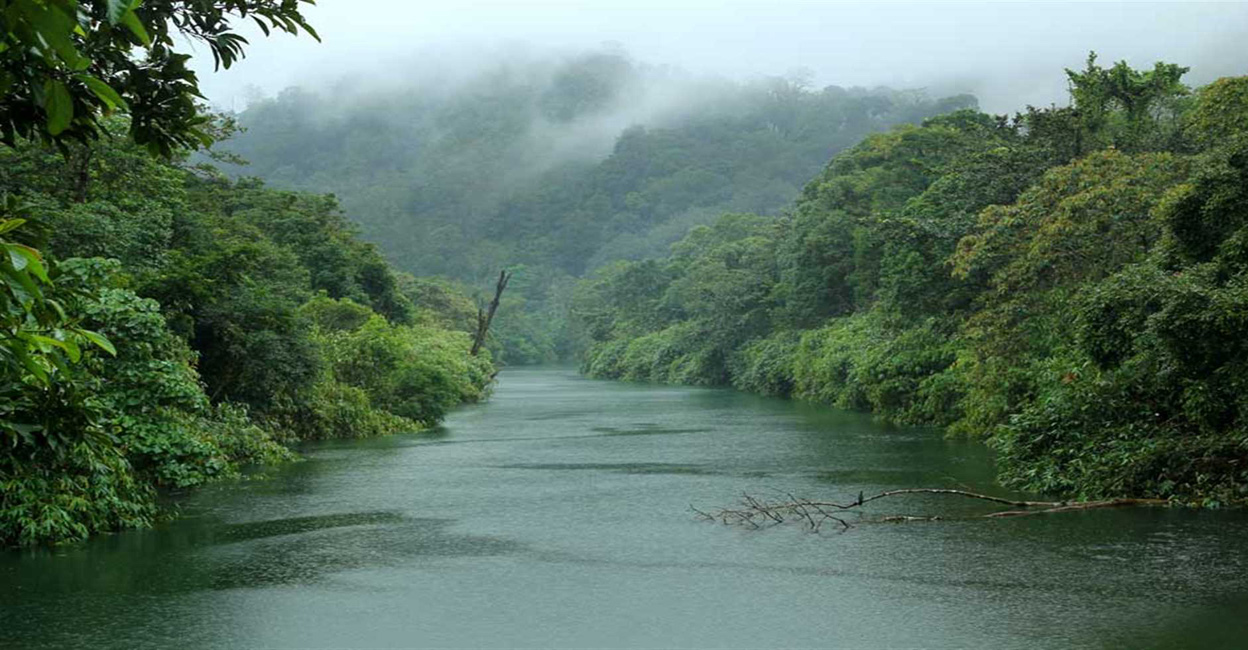 വന്യമൃഗങ്ങളെ കണ്ട് കാടിനുള്ളിൽ താമസിക്കാം; ഗവിയിലേക്ക് യാത്ര തിരിക്കാം ...