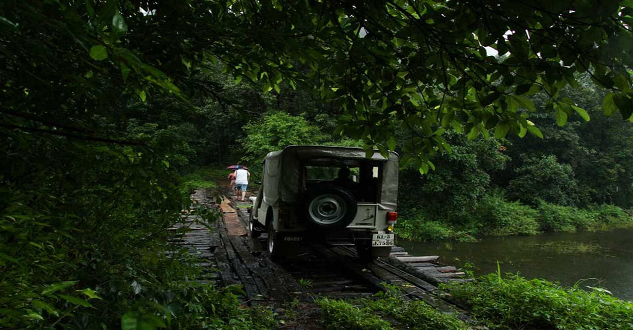 വന്യമൃഗങ്ങളെ കണ്ട് കാടിനുള്ളിൽ താമസിക്കാം; ഗവിയിലേക്ക് യാത്ര തിരിക്കാം ...