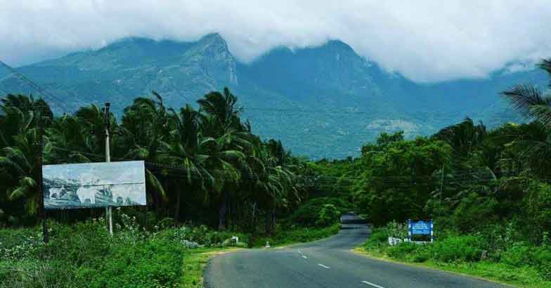 ഇന്ത്യയിലെ ഏറ്റവും മനോഹരമായ കാനനപാതയിലൂടെ | Chalakudi Valpara Pollachi ...