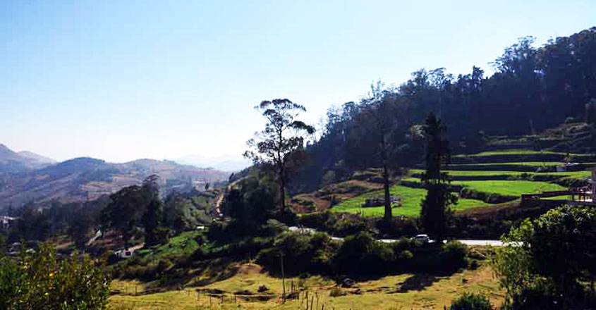 മഞ്ഞൂർ, ഇതാണ് പഴയ ഊട്ടി | Ooty Manjoor Trip