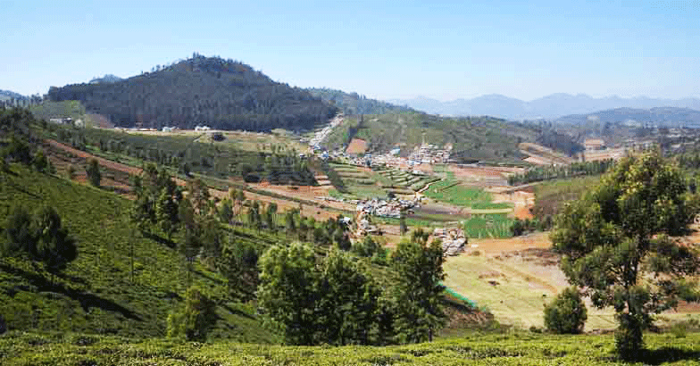 കാടും മഞ്ഞും മനോഹര കാഴ്ച്ചകളും കണ്ട് ഊട്ടിയിലേക്ക് ട്രിപ്പടിക്കാൻ ഒരു ...