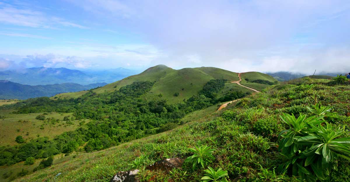 ഇന്ത്യയുടെ സ്‌കോട്ട്‌ലന്‍ഡെന്ന് അറിയപ്പെടുന്ന സുന്ദരഭൂമി | Coorg ...