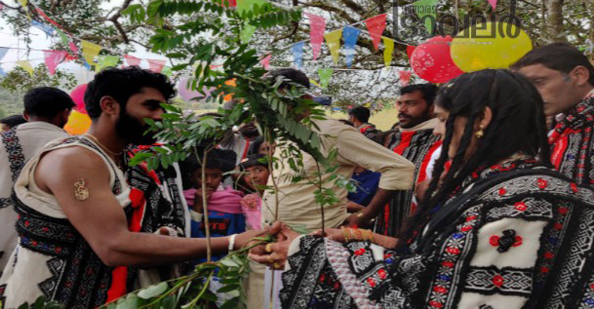 തോടരുടെ ഗർഭിണി കല്യാണം | Traditional Wedding of Toda Tribes Nilgir