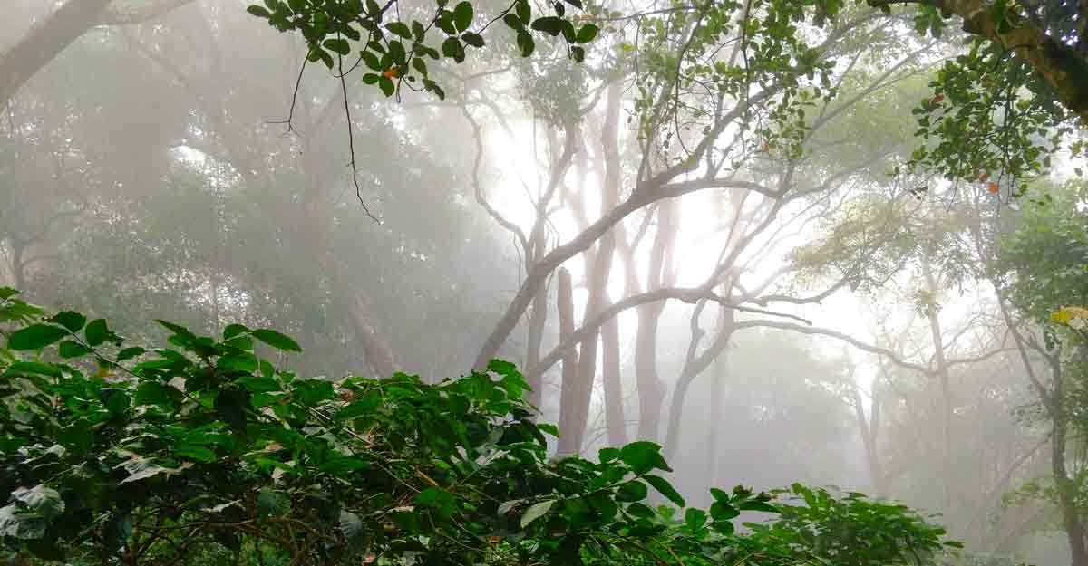 മഞ്ഞുവീഴ്ച കാണണോ? മൂന്നാർ അല്ല ആന്ധ്രാപ്രദേശിലെ കശ്മീരിലേക്ക് പോകാം ...