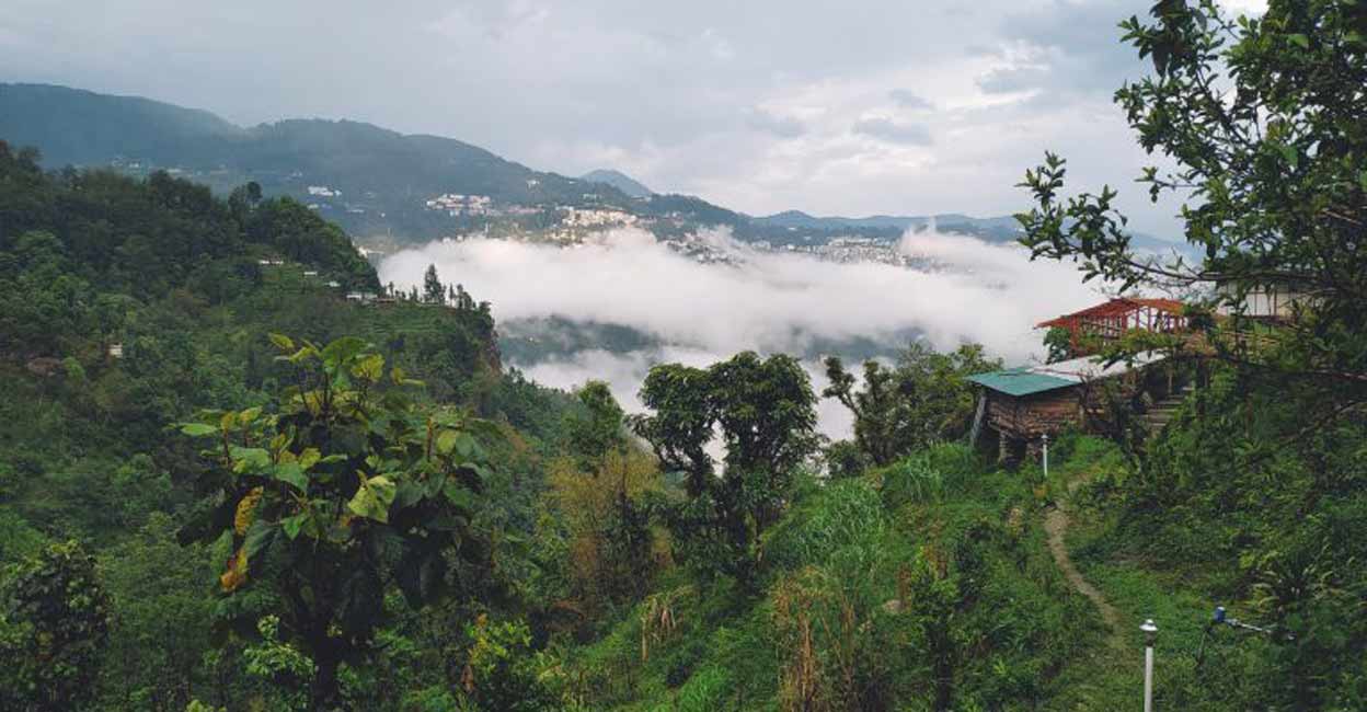കാടിനുള്ളിലെ കൊച്ചുവീട്ടില്‍ താമസിക്കാം; പോകാം ഏഴു സഹോദരിമാരുടെ ...