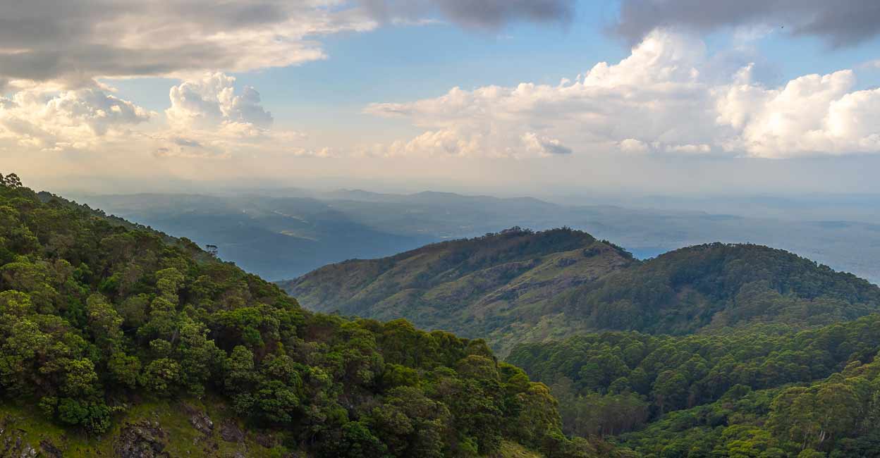 മലനിരകള്‍ക്കിടയിലെ കാനനസുന്ദരി; ഊട്ടിക്കരികിലെ സൂചിമല! | Visit Needle ...