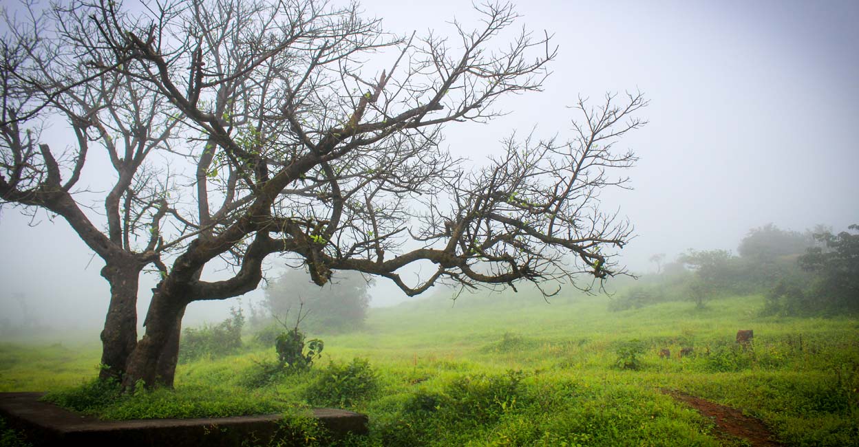 കമ്പളം പുതച്ച് നടക്കാം; മഞ്ഞും മലകളും നിറഞ്ഞ ഇൗ സ്വര്‍ഗഭൂമിയി ...
